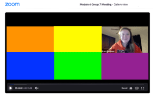 How Do I Change the View on Zoom? (For All Different Views) - Get Smart ...