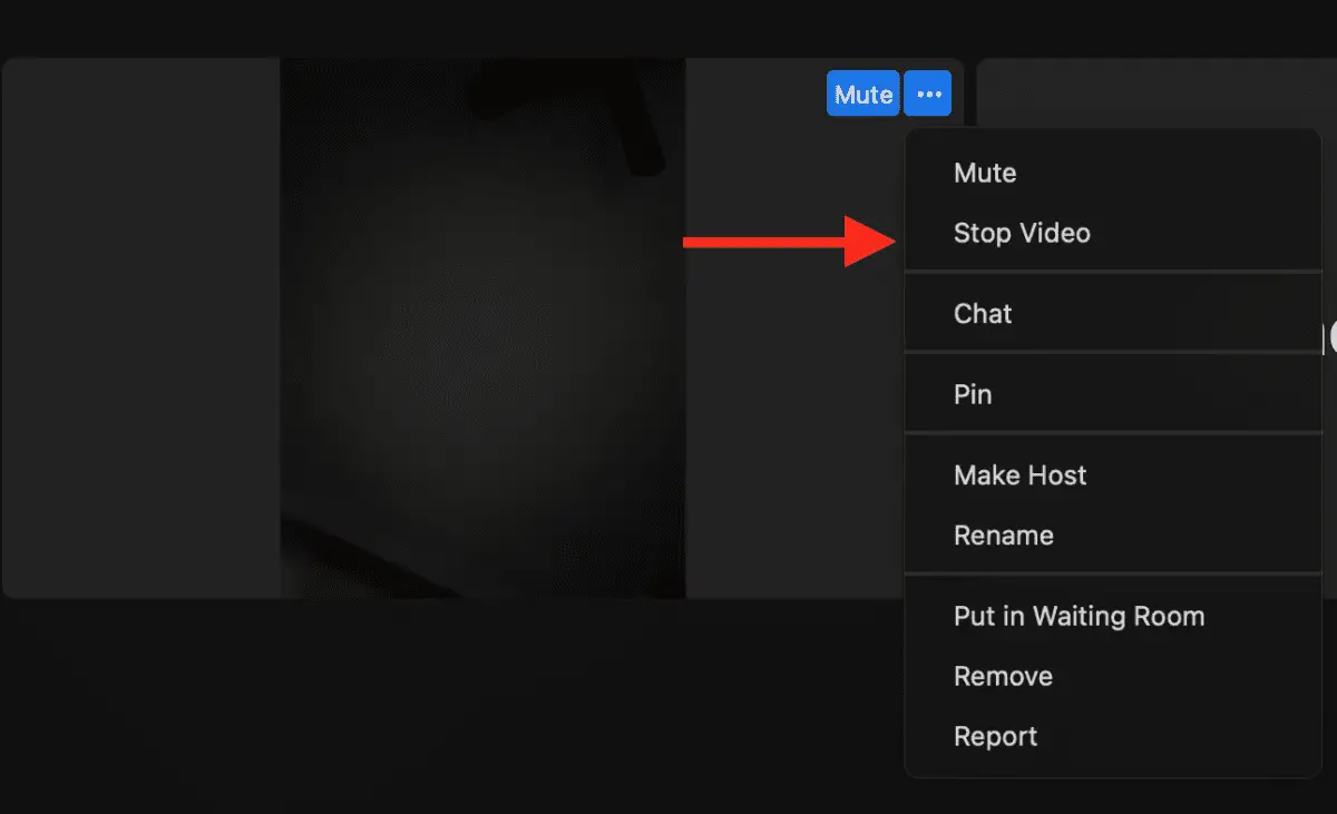 Zoom Class Privacy: Can Teachers Turn On Your Camera? - Get Smart Soon