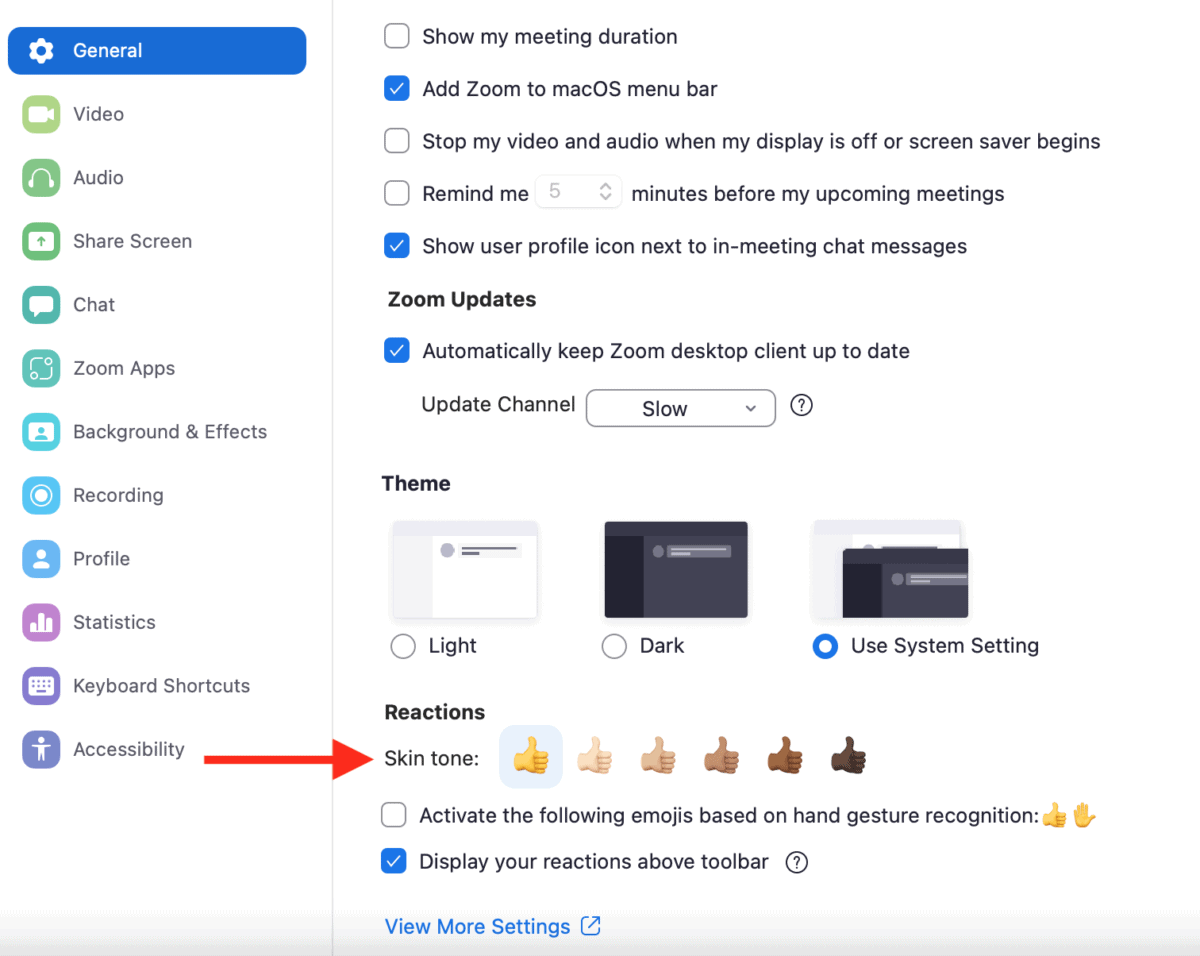 Zoom: Reactions, Nonverbal Feedback, & Gesture Recognition - Get Smart Soon