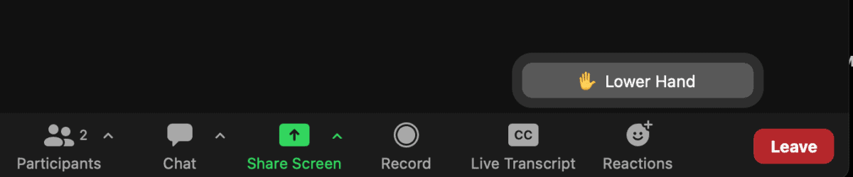 Zoom: Reactions, Nonverbal Feedback, & Gesture Recognition - Get Smart Soon