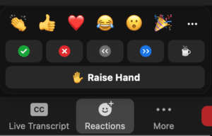 Zoom: Reactions, Nonverbal Feedback, & Gesture Recognition - Get Smart Soon