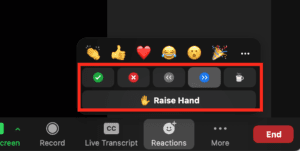 Zoom: Reactions, Nonverbal Feedback, & Gesture Recognition - Get Smart Soon