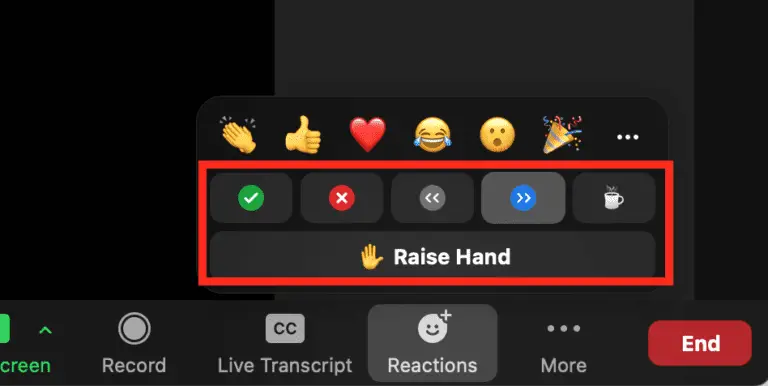 Zoom: Reactions, Nonverbal Feedback, & Gesture Recognition - Get Smart Soon