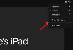 How Do I Change the View on Zoom? (For All Different Views) - Get Smart ...