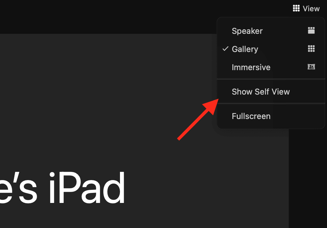 How Do I Change the View on Zoom? (For All Different Views) - Get Smart ...